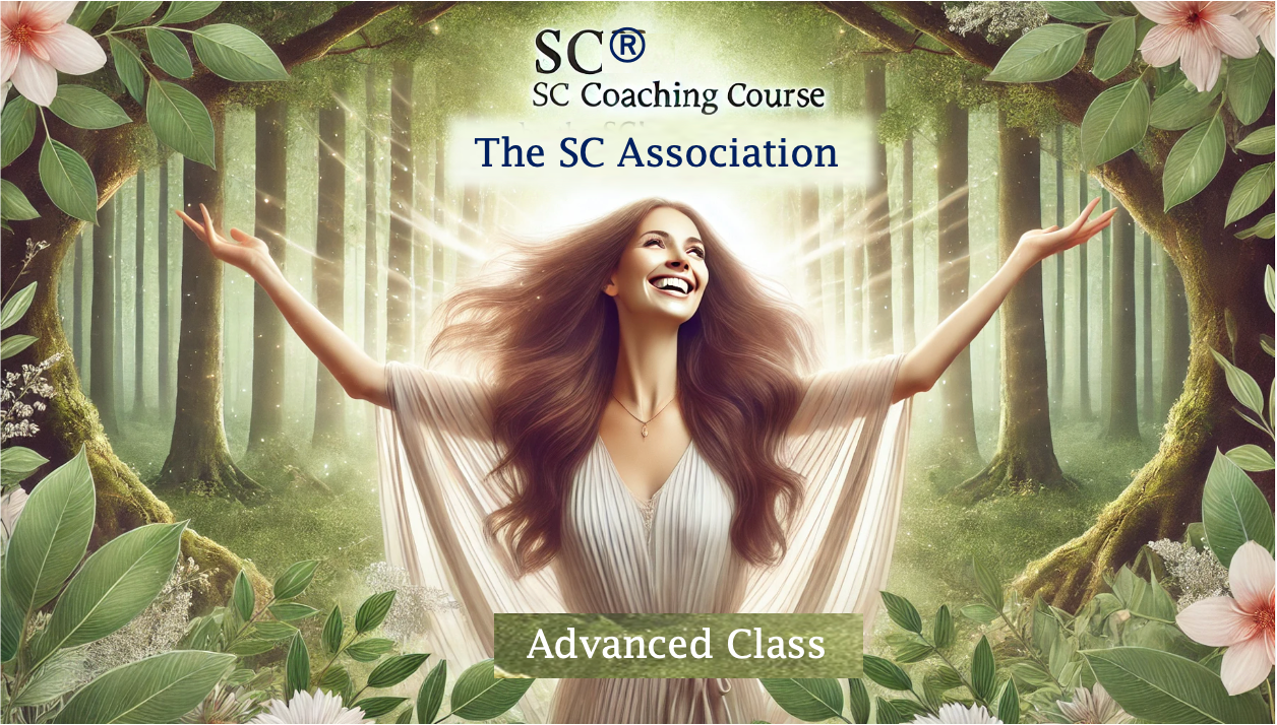 Beginner Course 初級コース | SCコーチング講座